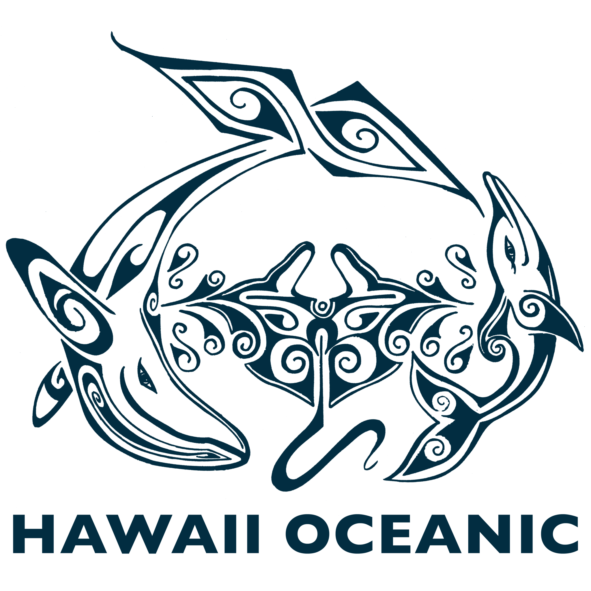 Big Island Snorkeling Tours | Manta Ray Snorkel | Kealakekua Bay Snorkel